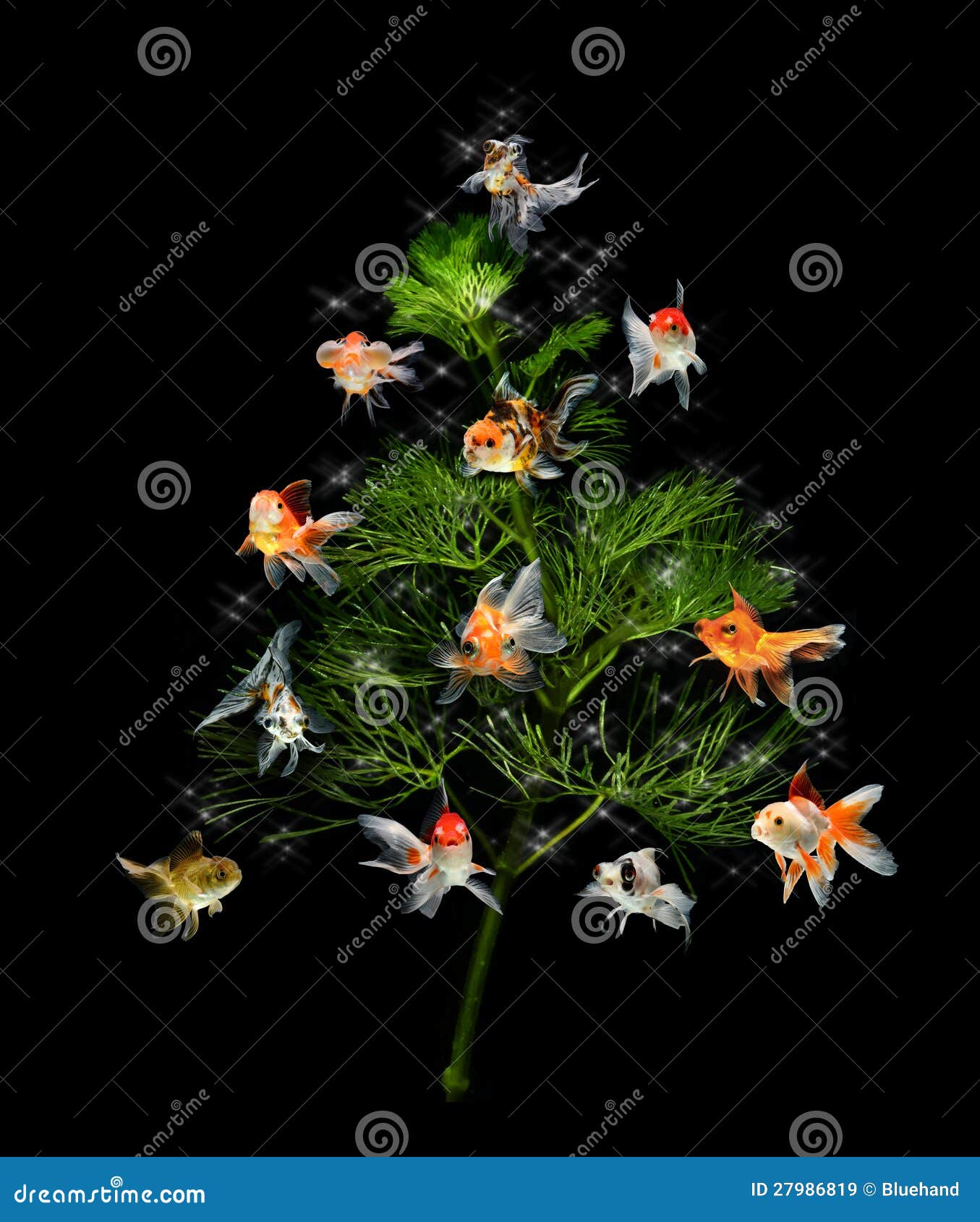 Christmas Tree Concept with Goldfish Ornament on Black Background Stock ...