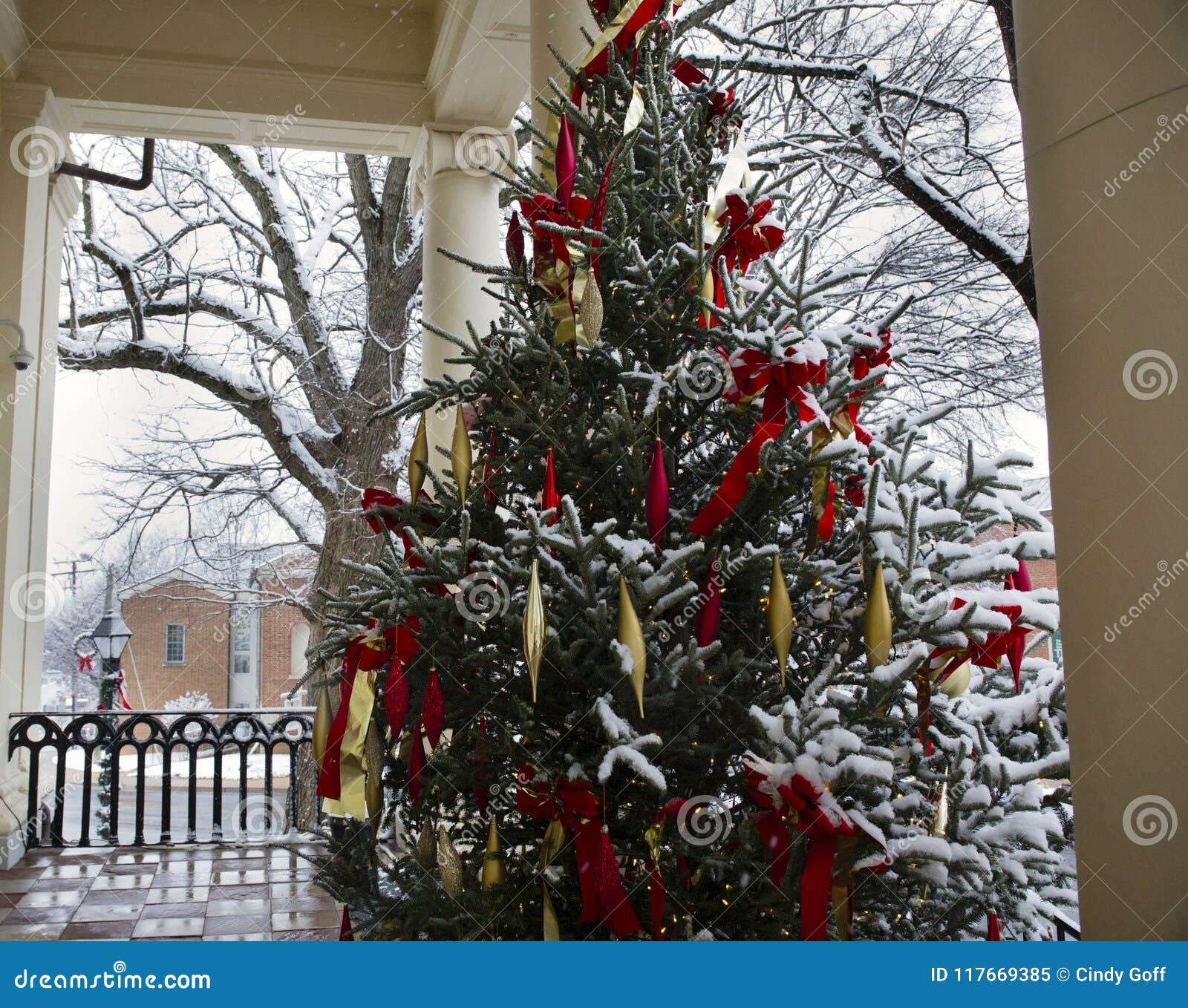 Christmas Tree at the Courthouse in Warrenton Virginia. Stock Image ... Christmas Tree at the Courthouse in Warrenton Virginia. Stock Image ...