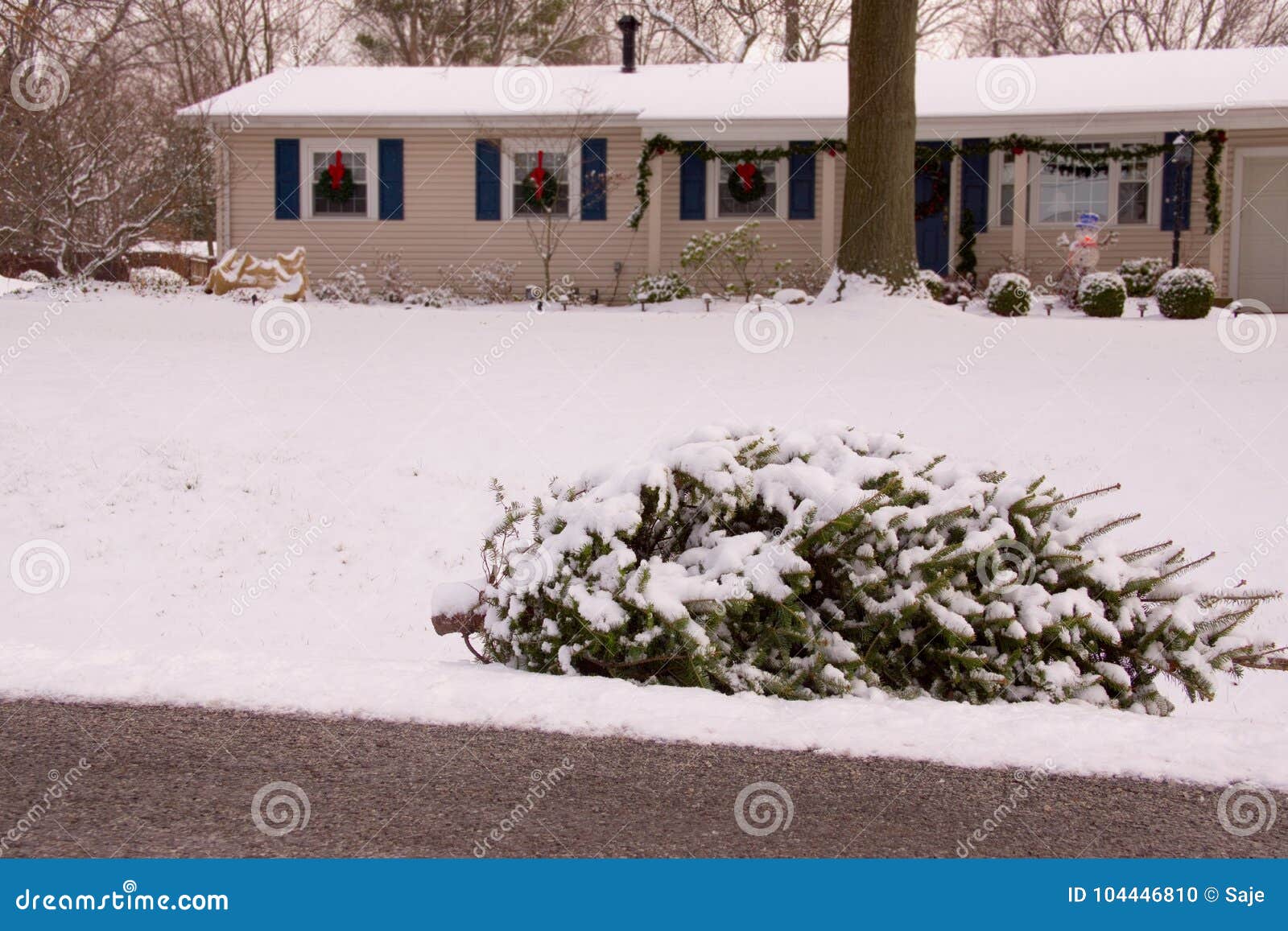 Snow Trash Curb Stock Photos - Free & Royalty-Free Stock Photos from ...