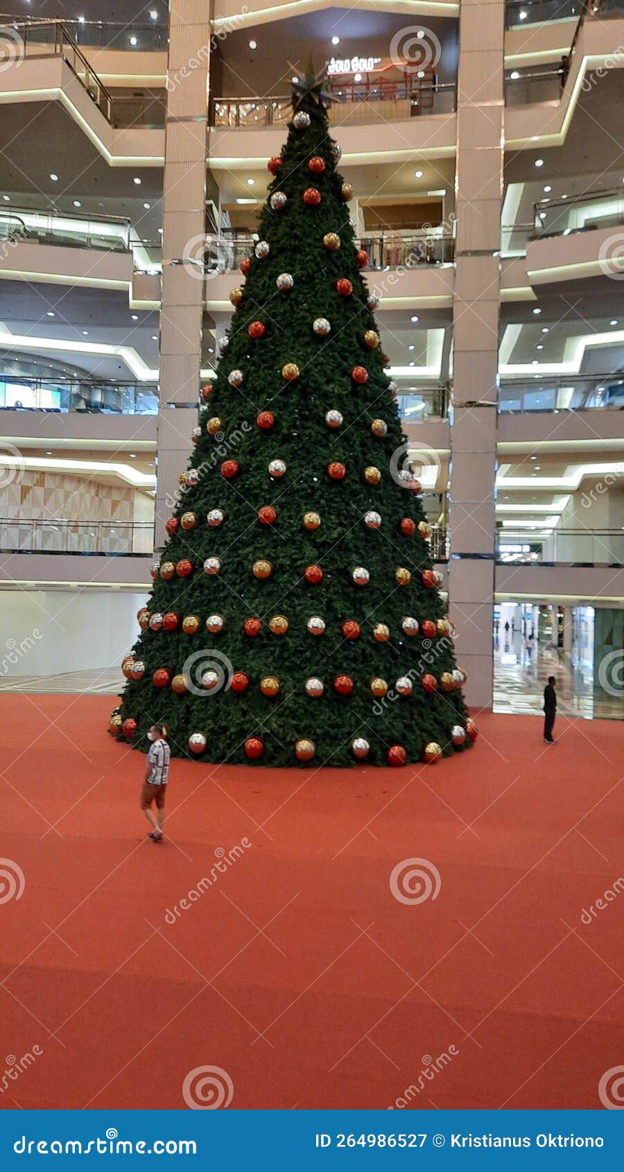 The Christmas Tree in December Editorial Photography - Image of light ...