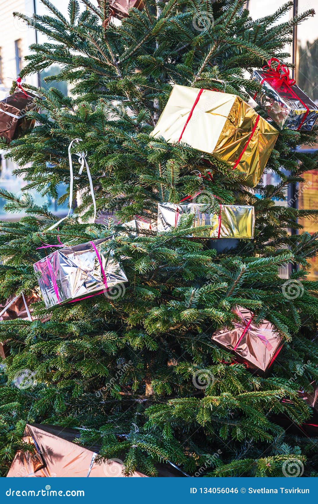 Christmas Tree Decorated by Gift Boxes Stock Photo - Image of cozy ...