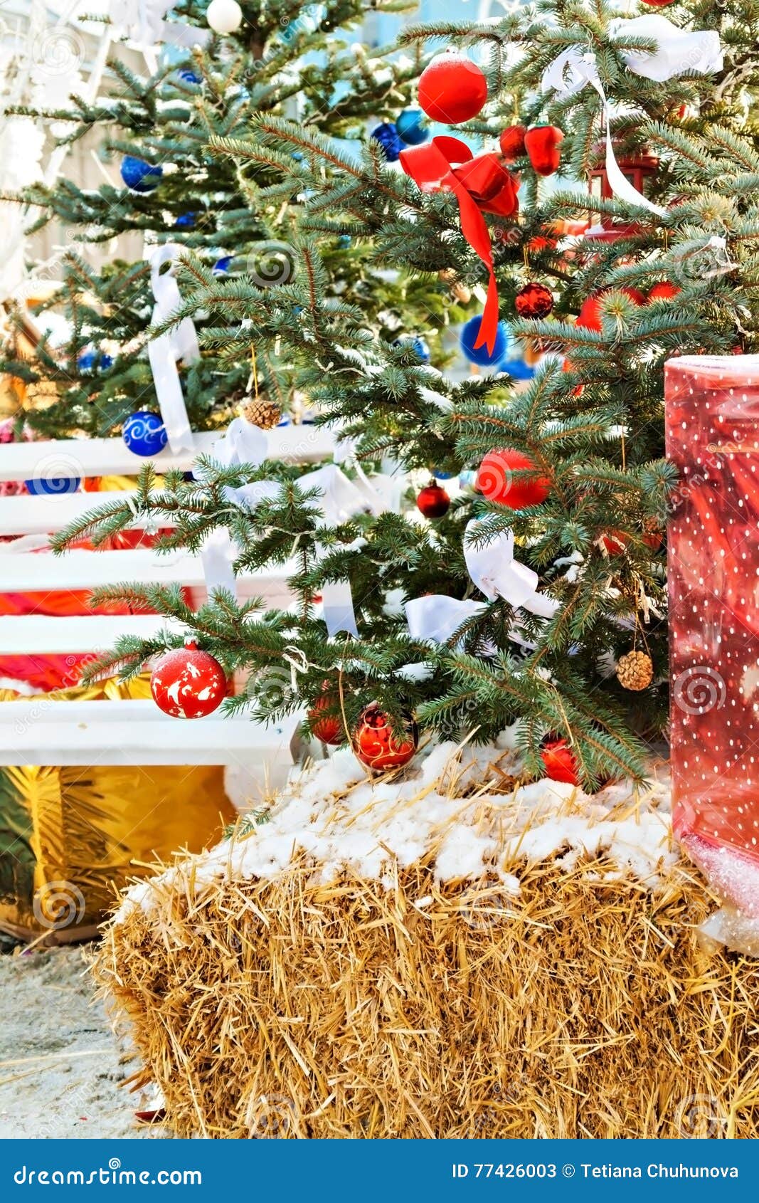 Christmas Tree Decorations, Gifts, Bench, Hay Outdoors Stock Image ...