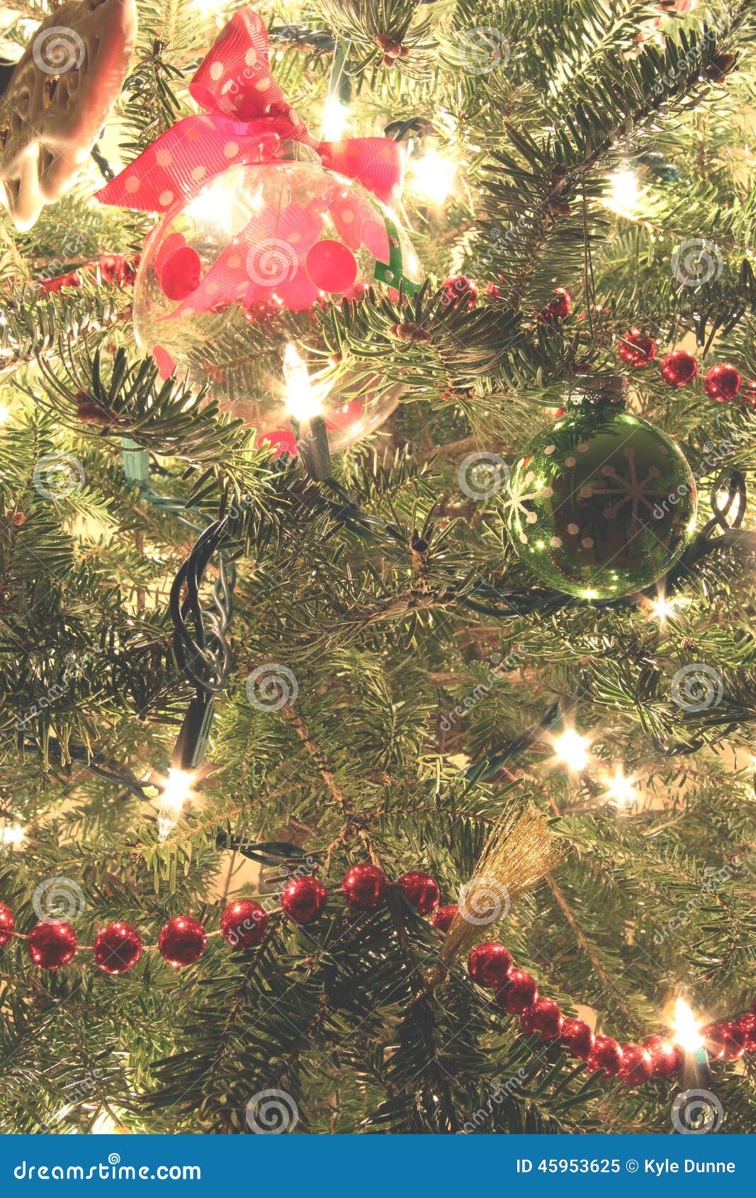 Christmas Tree Details stock image. Image of tree, seasonal - 45953625
