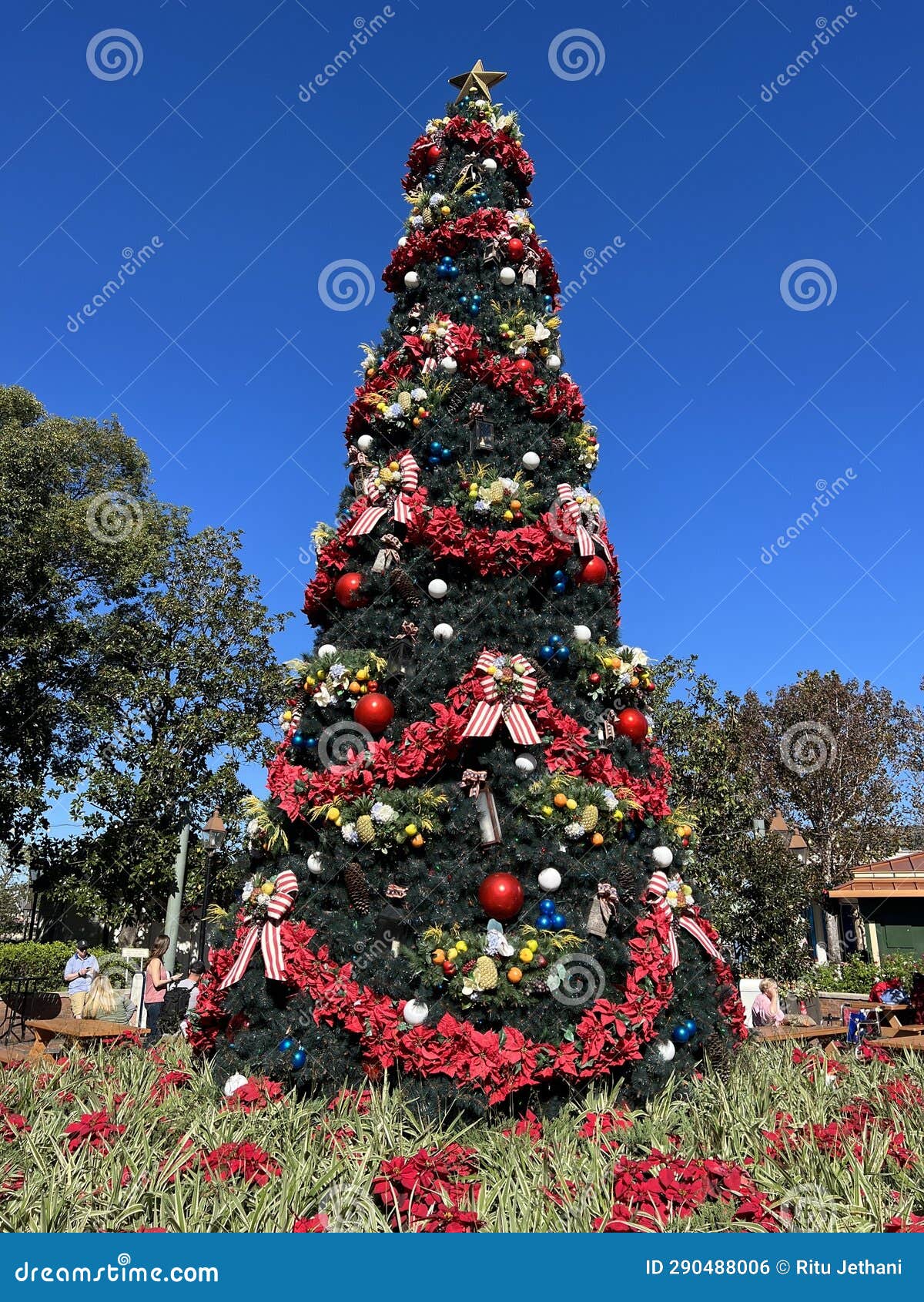 Christmas Tree in the Disney EPCOT Theme Park in Orlando, Florida ...