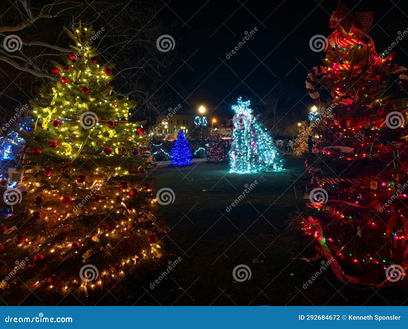Christmas Tree Display in a Village Park Stock Photo - Image of ...