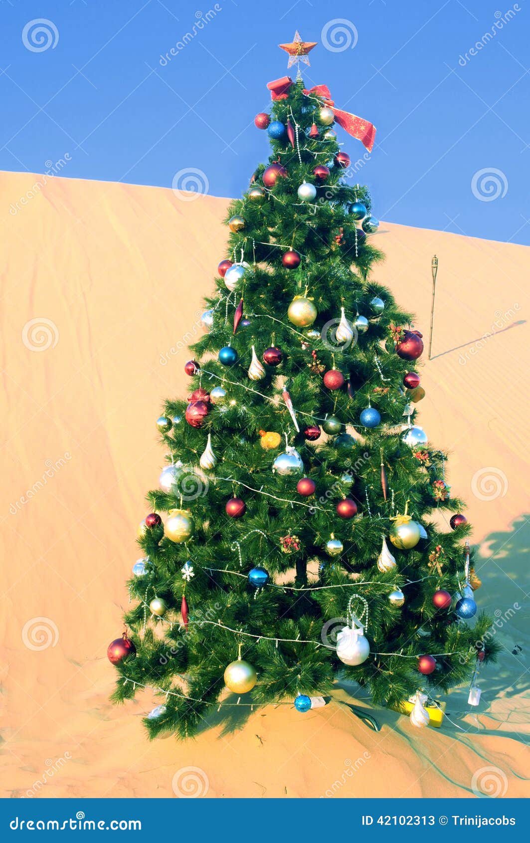 Christmas Tree stock image. Image of celebration, religion - 42102313