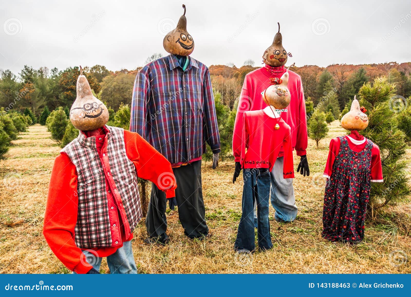 Christmas Tree Farm Dressed Scarecrows for Holidays Stock Image - Image ...