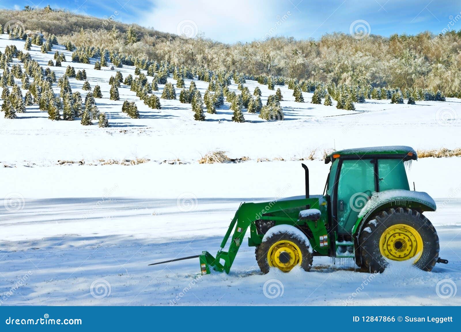 Christmas Tree Farm and Tractor Editorial Photo - Image of choose ...
