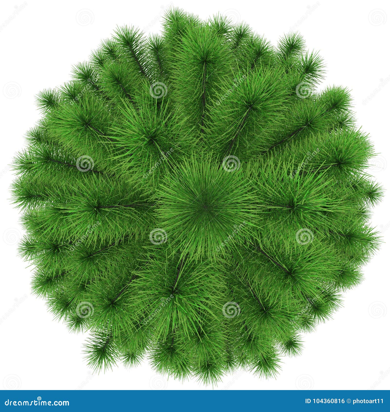 Christmas Tree - Fir Top View - Isolated on White Stock Illustration ...