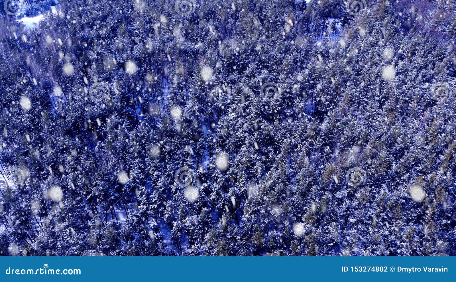 Christmas Tree Forest Aerial, Top View. Stock Photo - Image of flakes ...