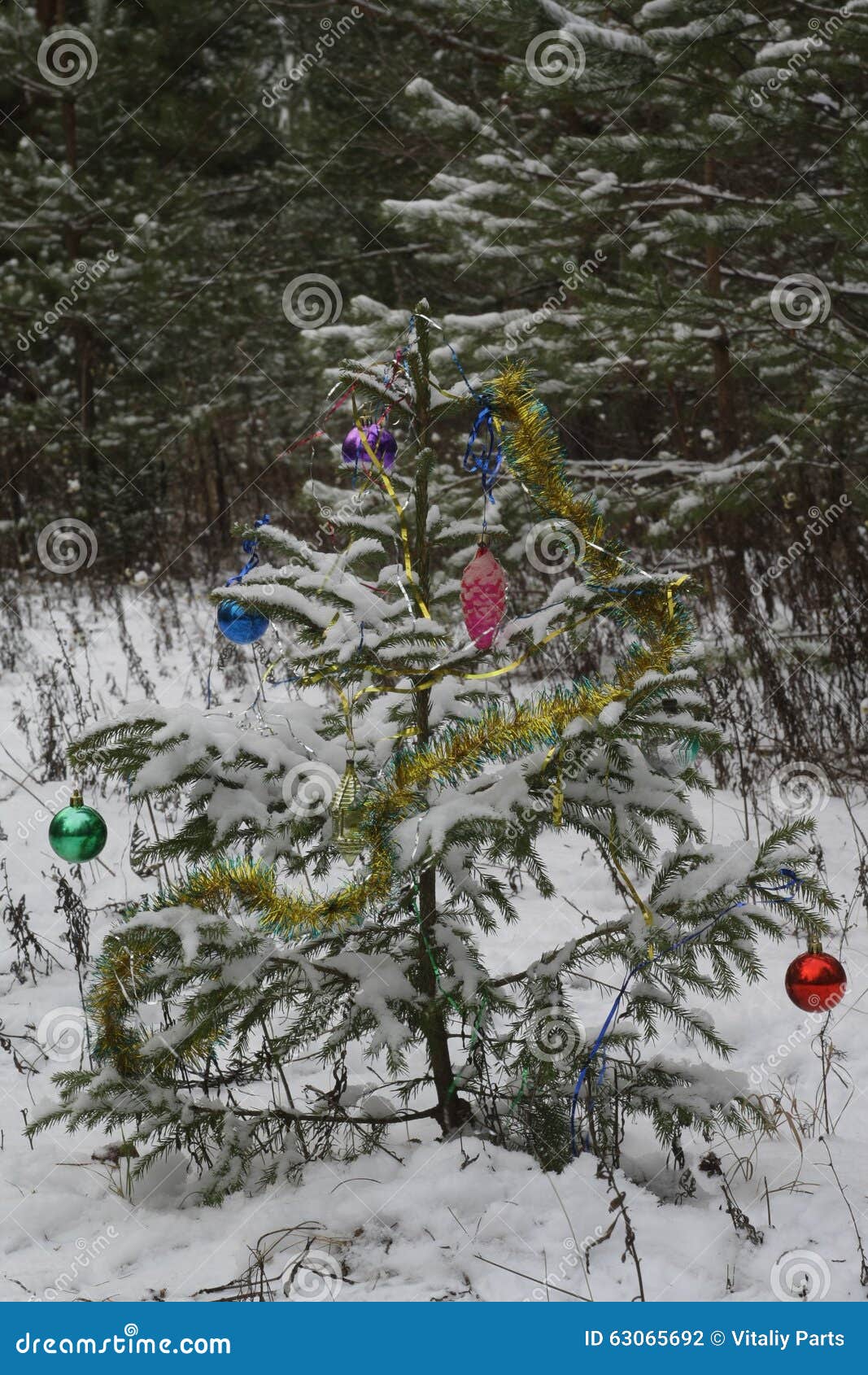 Christmas Tree in the Forest Stock Photo - Image of live, tinsel: 63065692