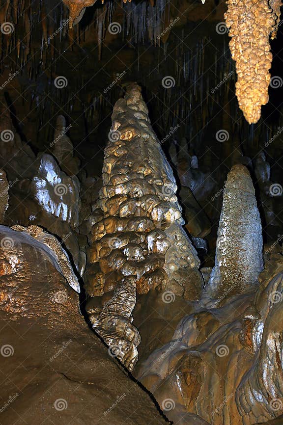 Christmas Tree Formation stock photo. Image of explore - 1526432