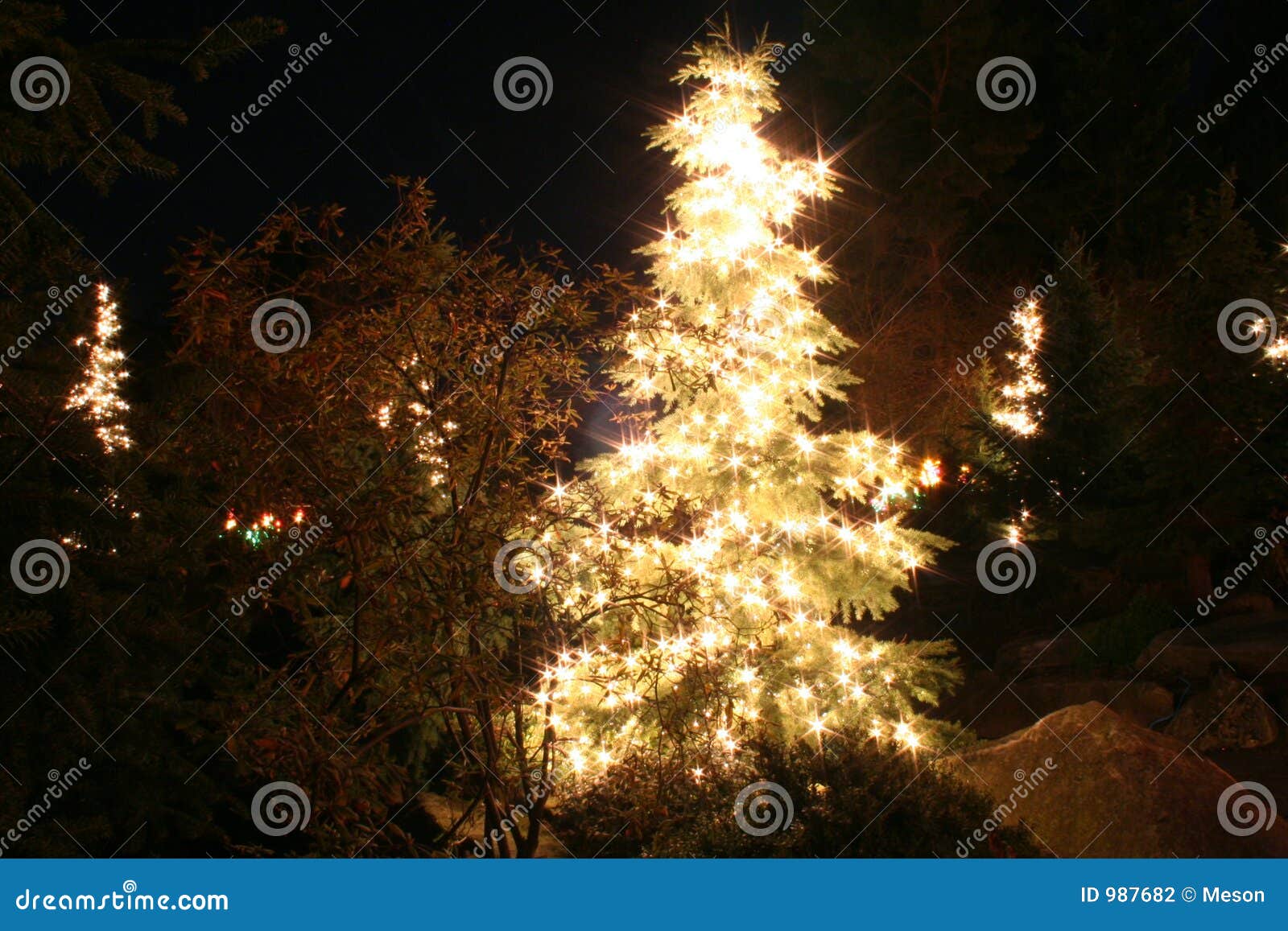 Christmas Tree Full of Lights Stock Photo - Image of glow, christmas ...