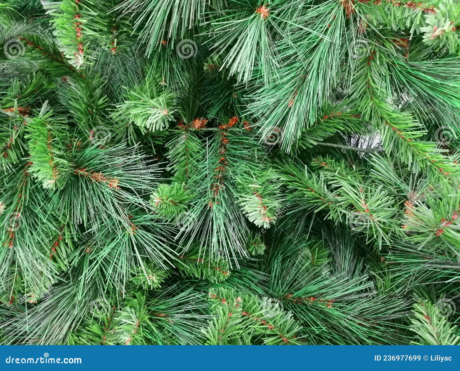 Christmas Tree Green Background Wallpaper Stock Image - Image of spruce ...