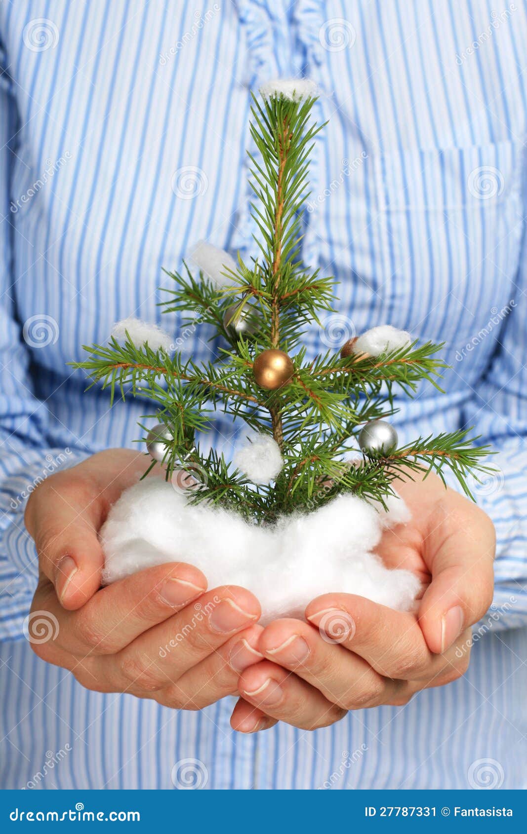 Christmas tree in hands. stock image. Image of give, merry - 27787331