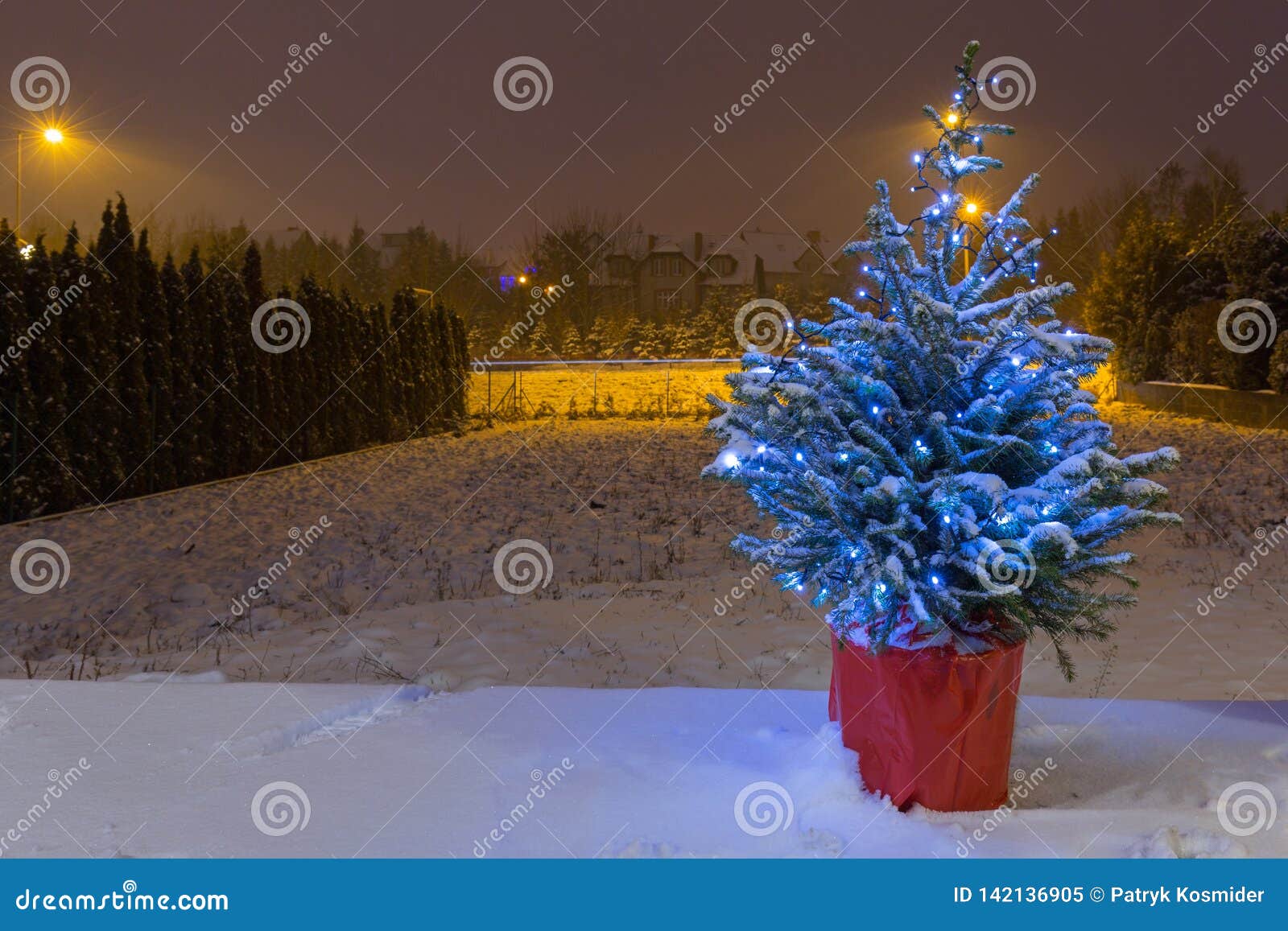 Christmas Tree Illuminated Outdoor at Snowy Night Stock Image - Image ...