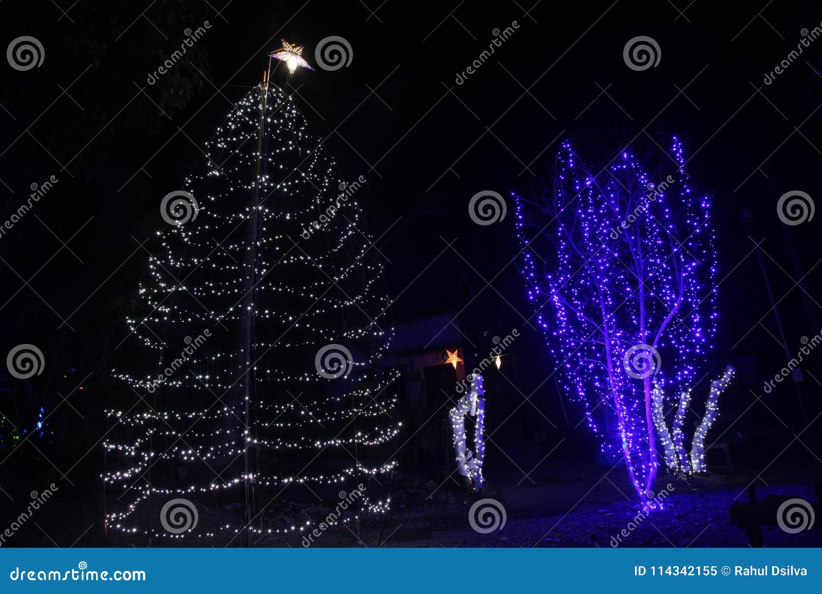Christmas Tree in India on Christmas Day Stock Image - Image of light ...