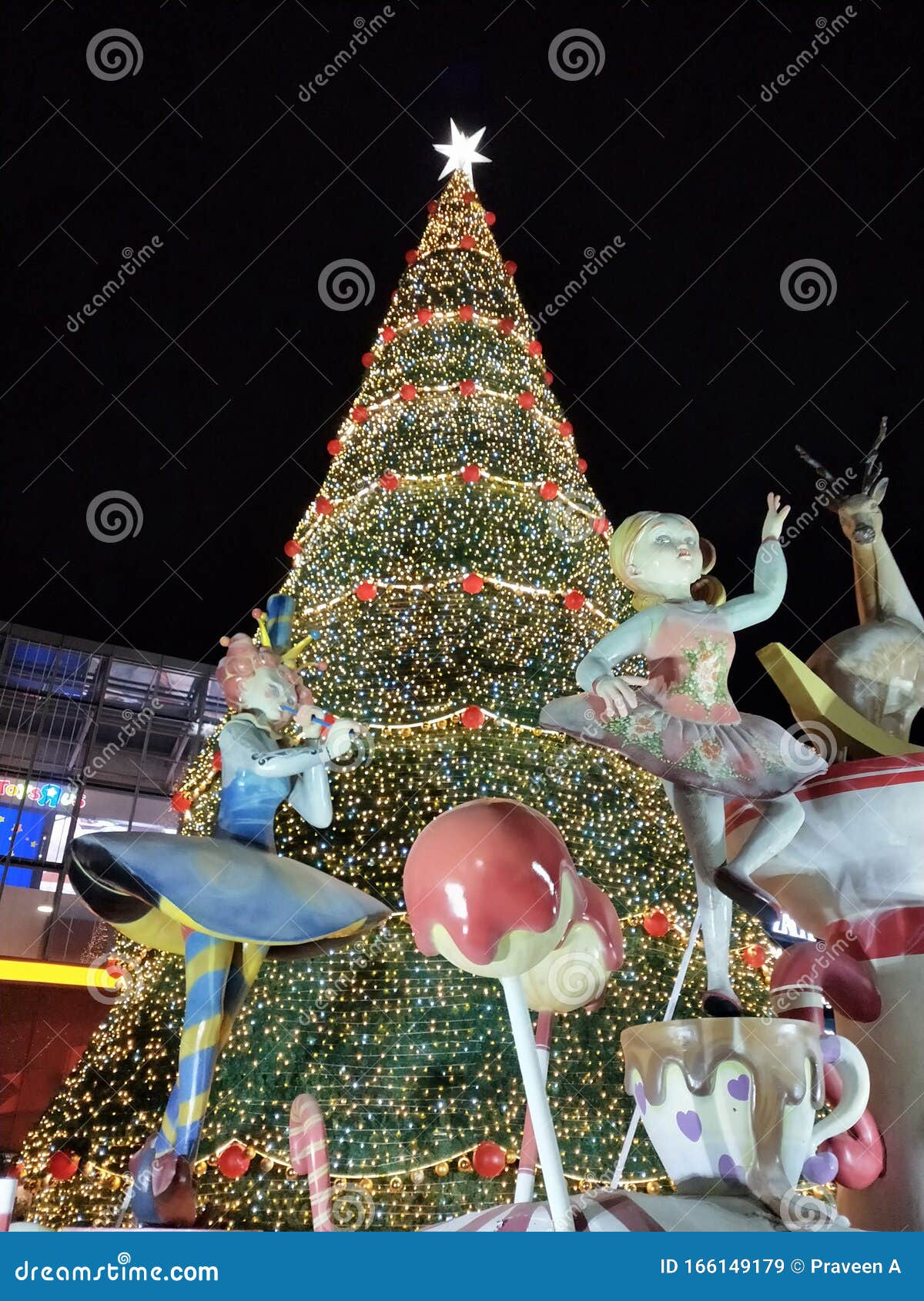 Christmas Tree India Largest One Stock Image - Image of christmas ...