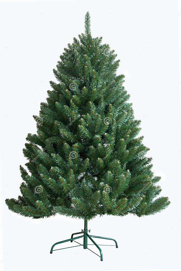 Christmas tree, isolated stock photo. Image of background - 11319854