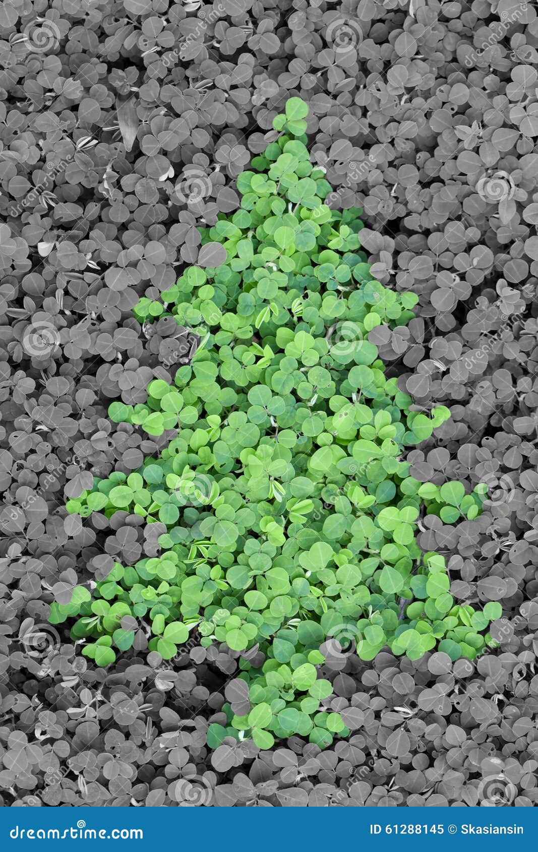 Christmas tree on leaves stock image. Image of christmas - 61288145