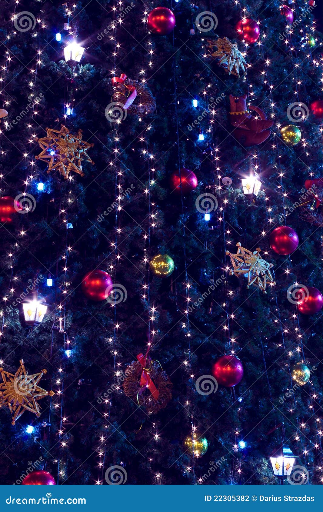 Christmas Tree and Lights Background Stock Photo - Image of celebration ...