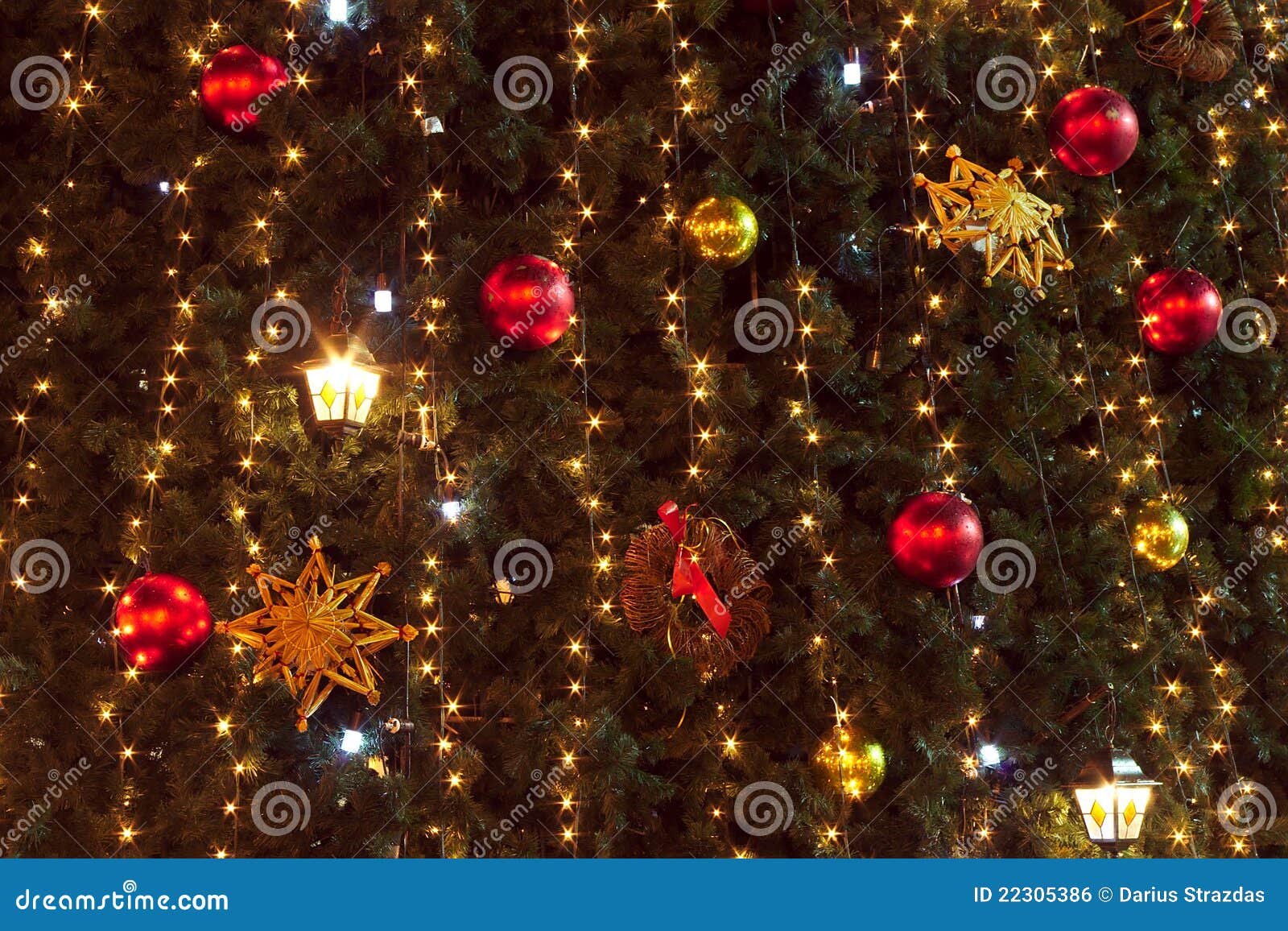 Christmas Tree and Lights Background Stock Photo - Image of festive ...