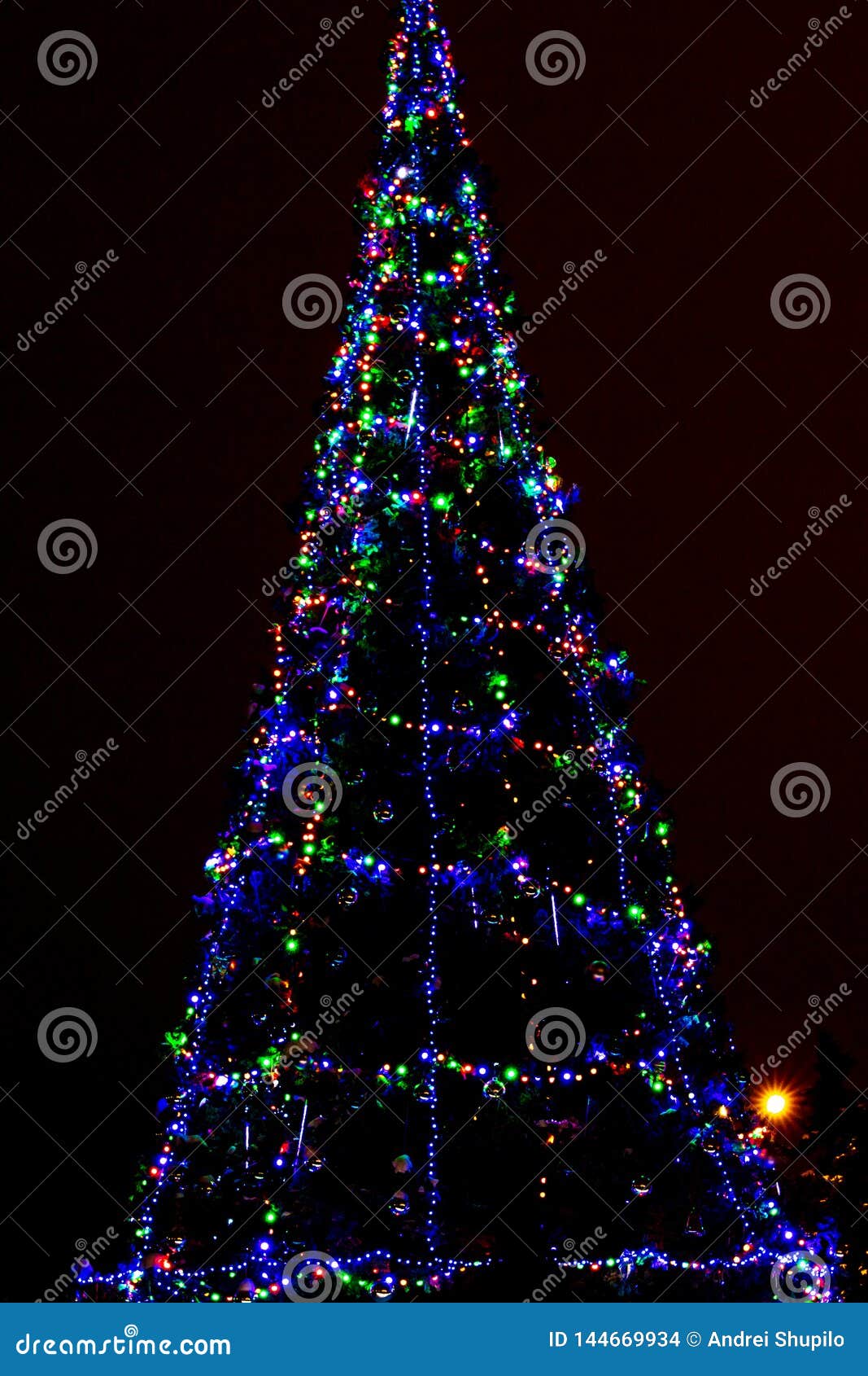 Christmas Tree Lights on Christmas Night Stock Photo - Image of lights ...