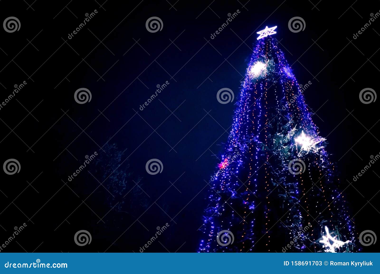 Illuminated Christmas Tree in the Snow at Night with Copy Space Stock ...
