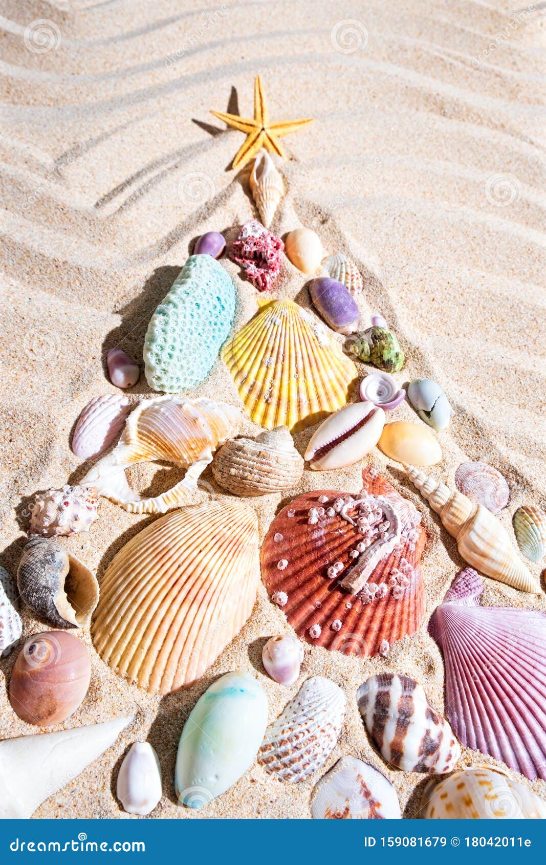 Christmas Tree Made from Shells and Corals on Beach Sand, Flat Lay ...