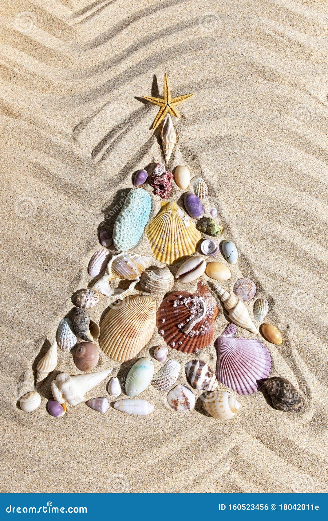 Christmas Tree Made from Shells and Corals on Beach Sand, Flat Lay ...
