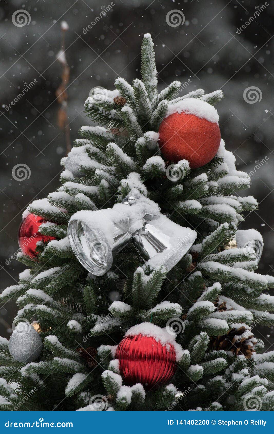 Christmas Tree in March stock photo. Image of next, forward - 141402200