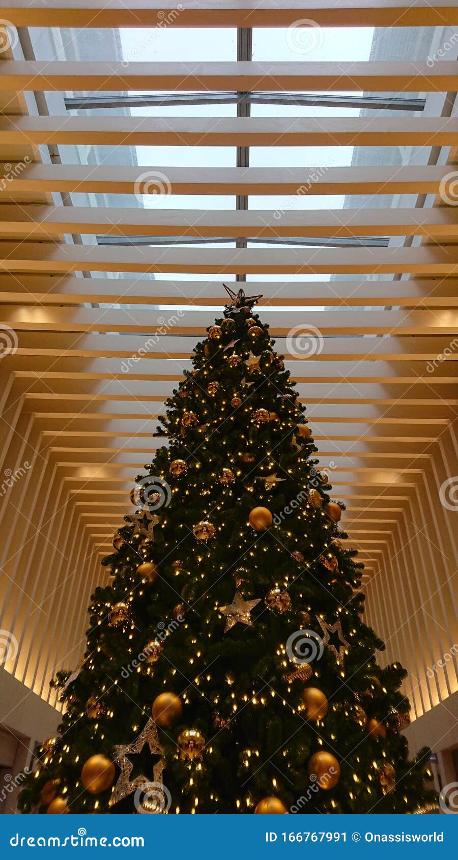 Christmas Tree in a Modern Architectural Building Stock Image - Image ...