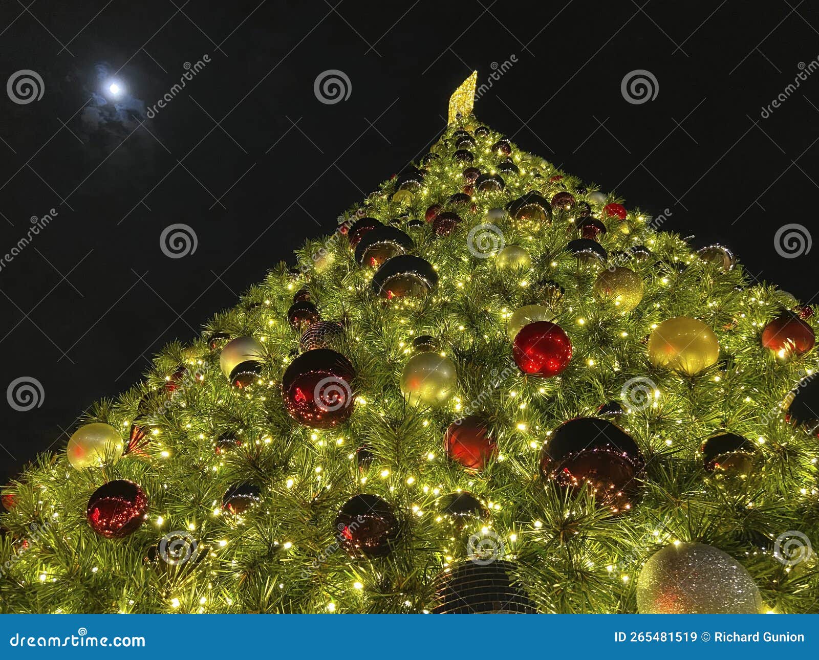 Christmas Tree and Moon at Night Stock Image - Image of tree, christmas ...