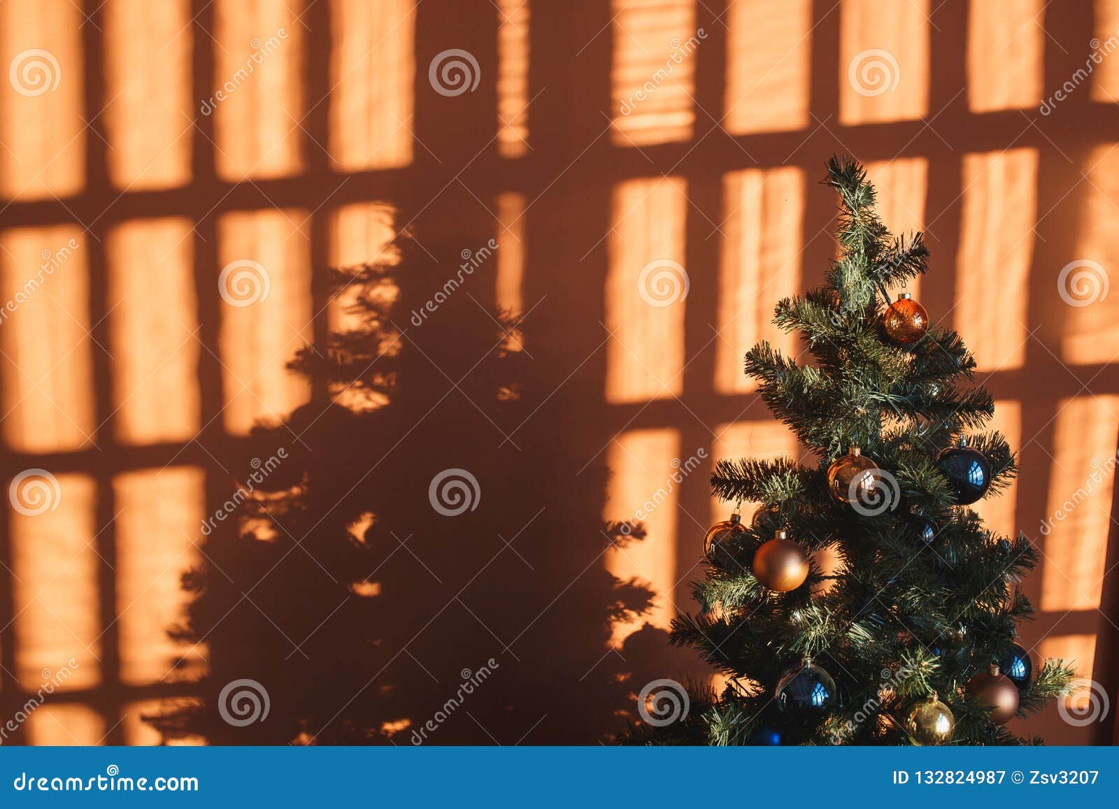 Christmas Tree Near Orange Wall in Sunlight. Geometric Shadows from ...