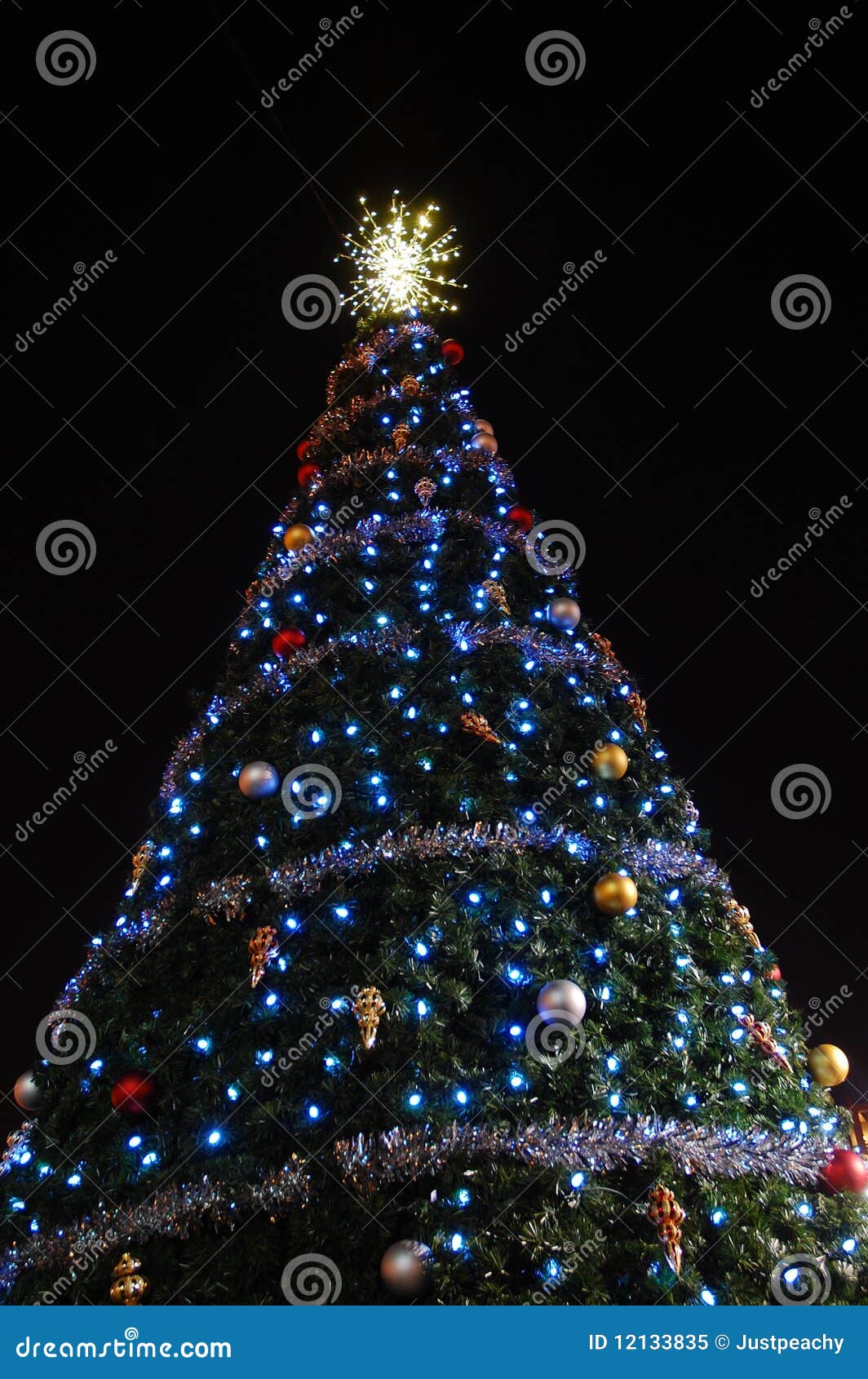 Christmas tree at night stock image. Image of night, decorative - 12133835
