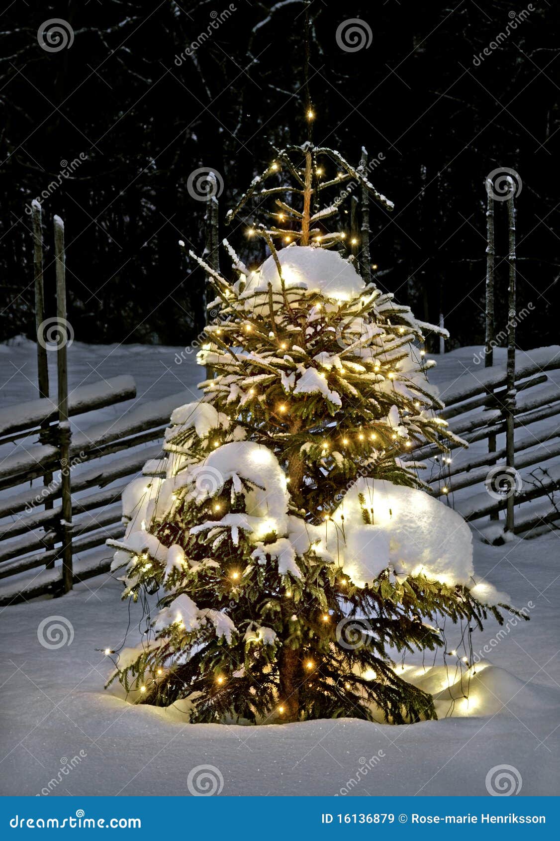 Christmas tree at night stock image. Image of night, branch - 16136879