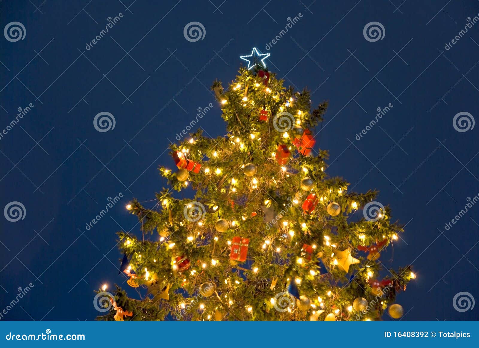 Christmas tree night stock photo. Image of trees, decoration - 16408392