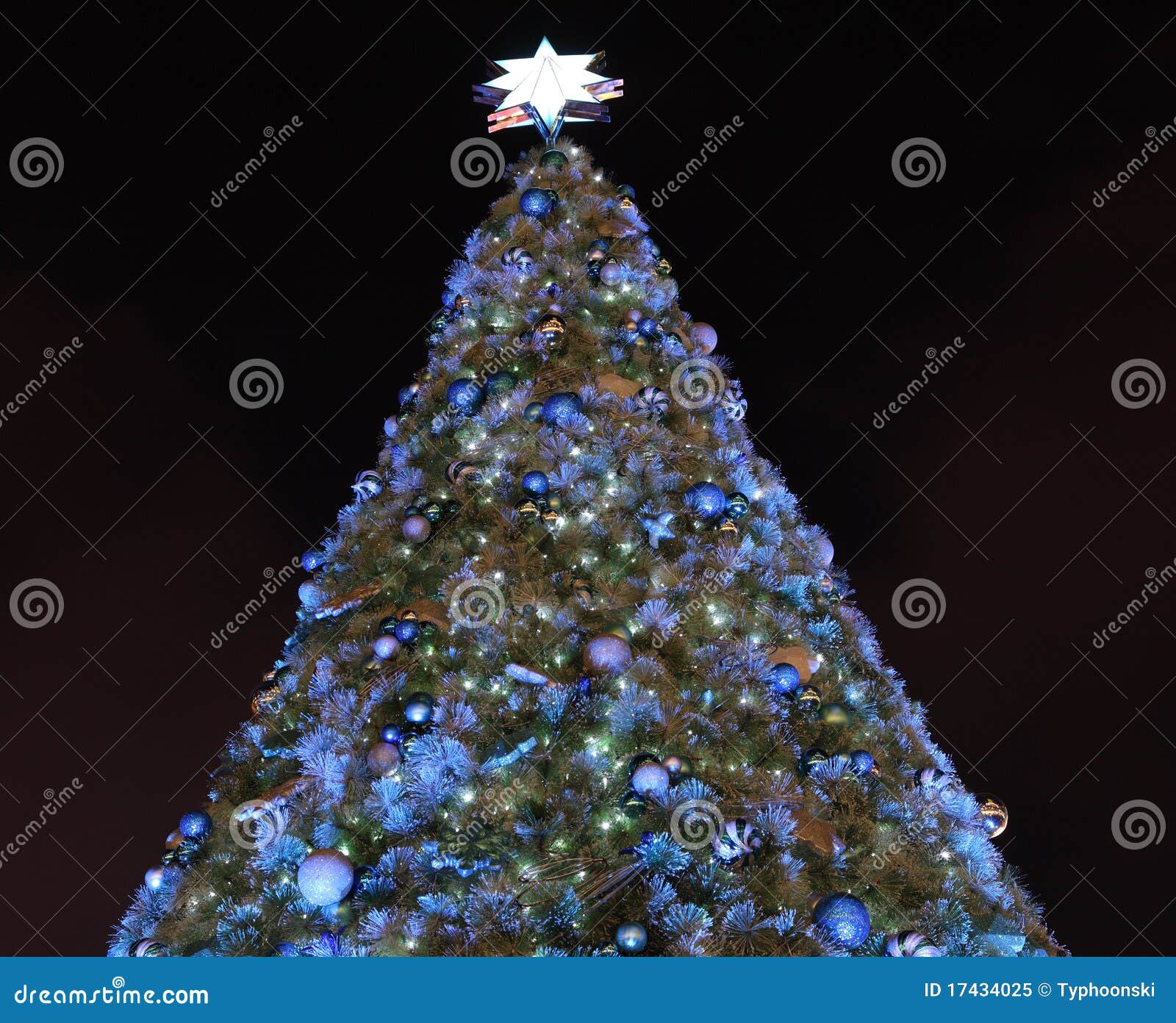 Christmas Tree at night stock image. Image of colorful - 17434025