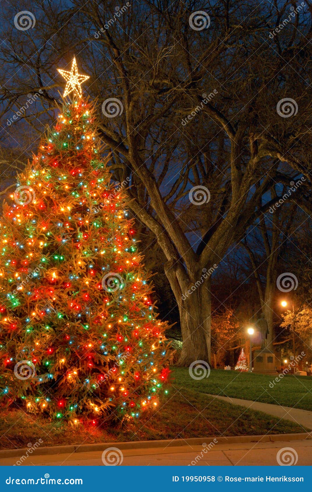 Christmas Tree At Night Royalty Free Stock Photos - Image: 19950958