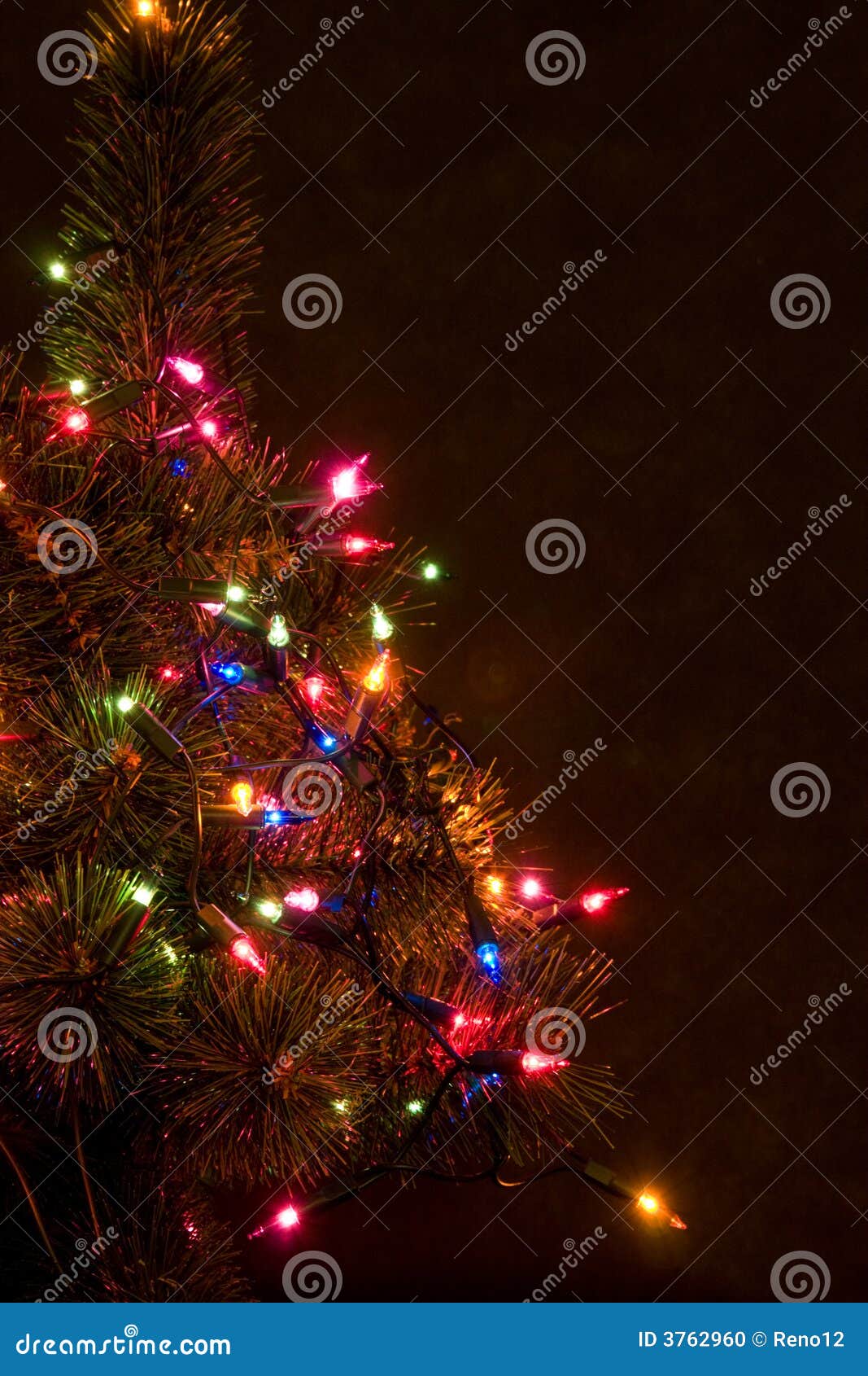 Christmas tree at night stock photo. Image of atmosphere - 3762960