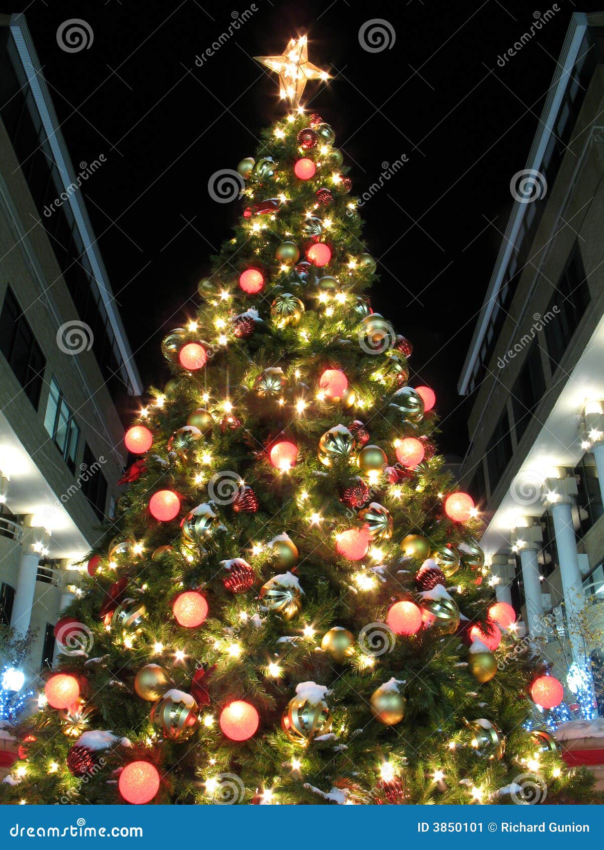 Christmas Tree at Night stock image. Image of night, ornaments - 3850101