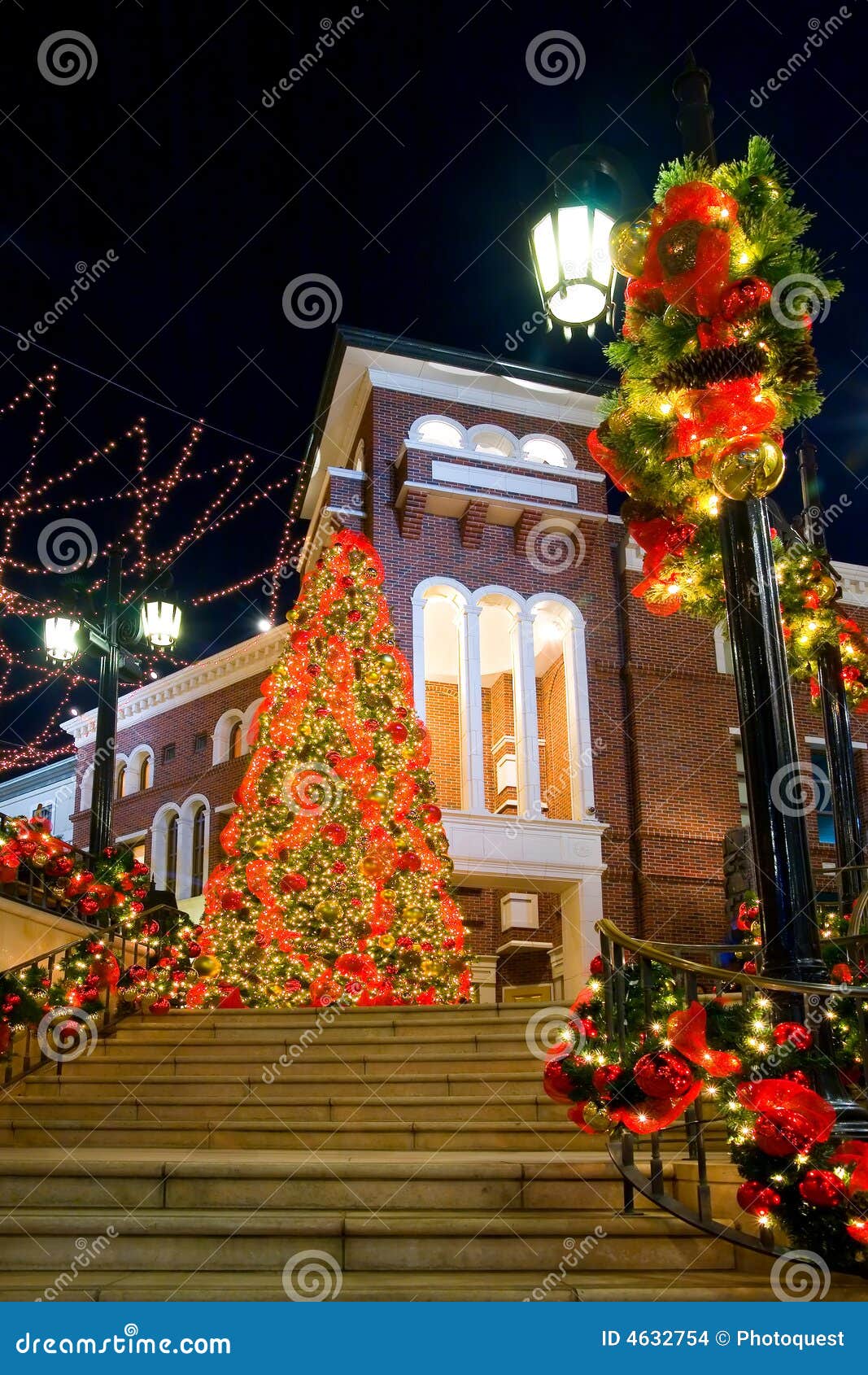 Christmas Tree at night stock photo. Image of drive, rodeo - 4632754