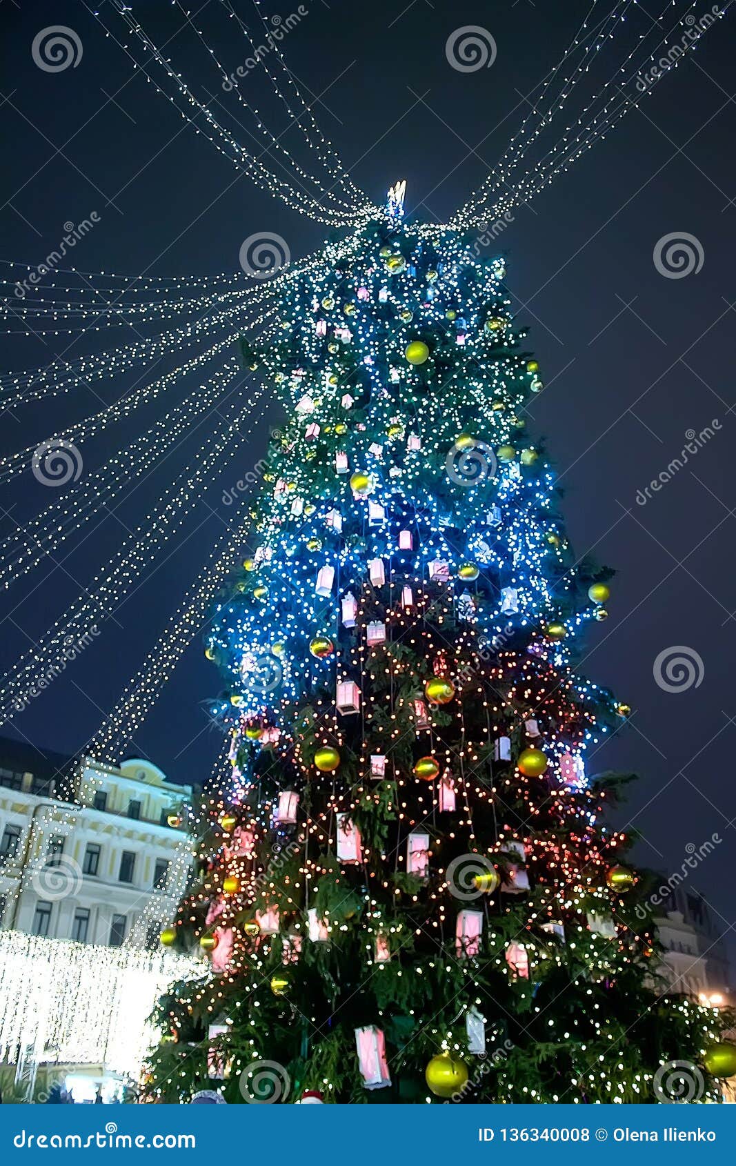 Christmas tree at night stock photo. Image of holiday - 136340008
