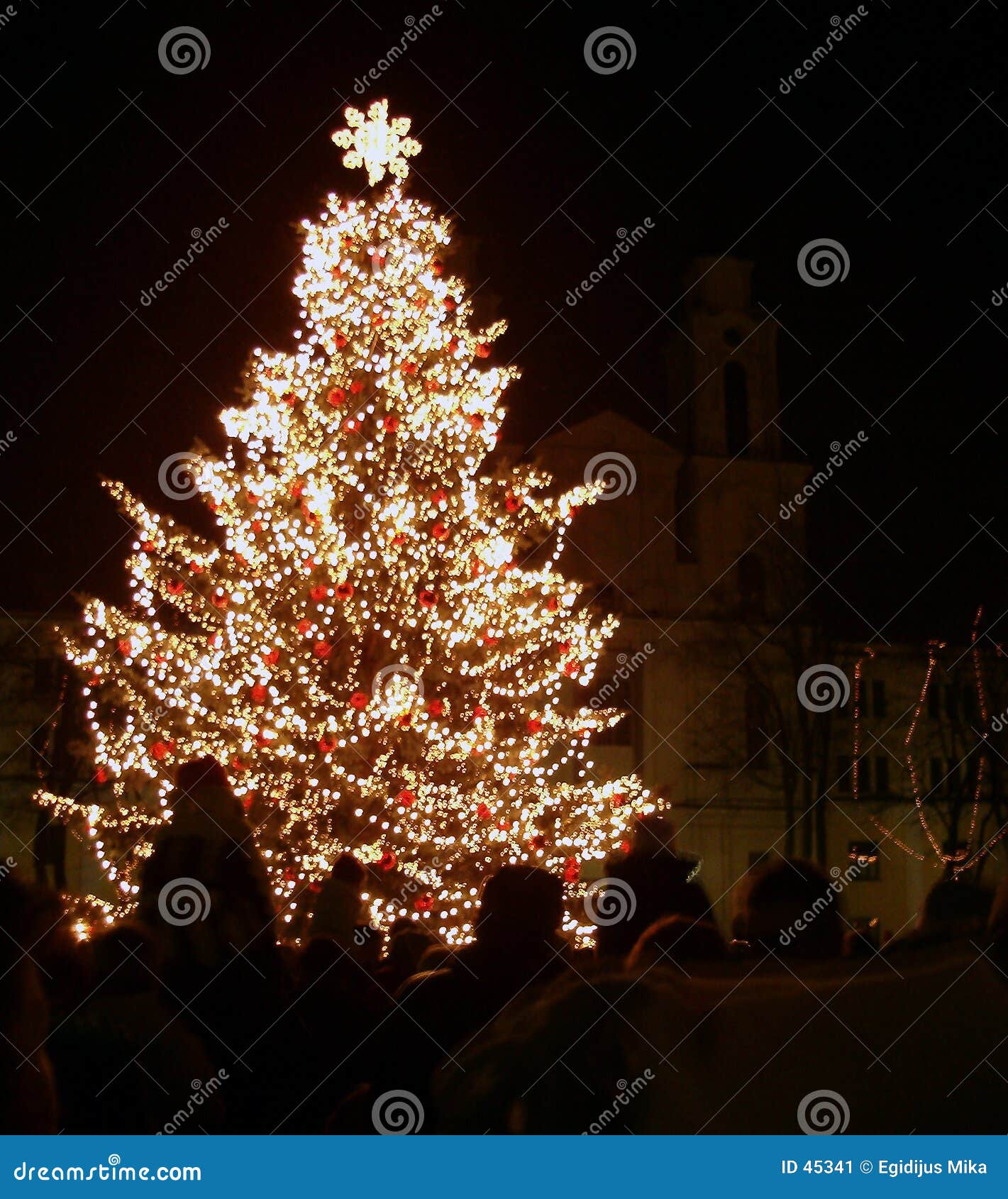 Night Christmas Tree