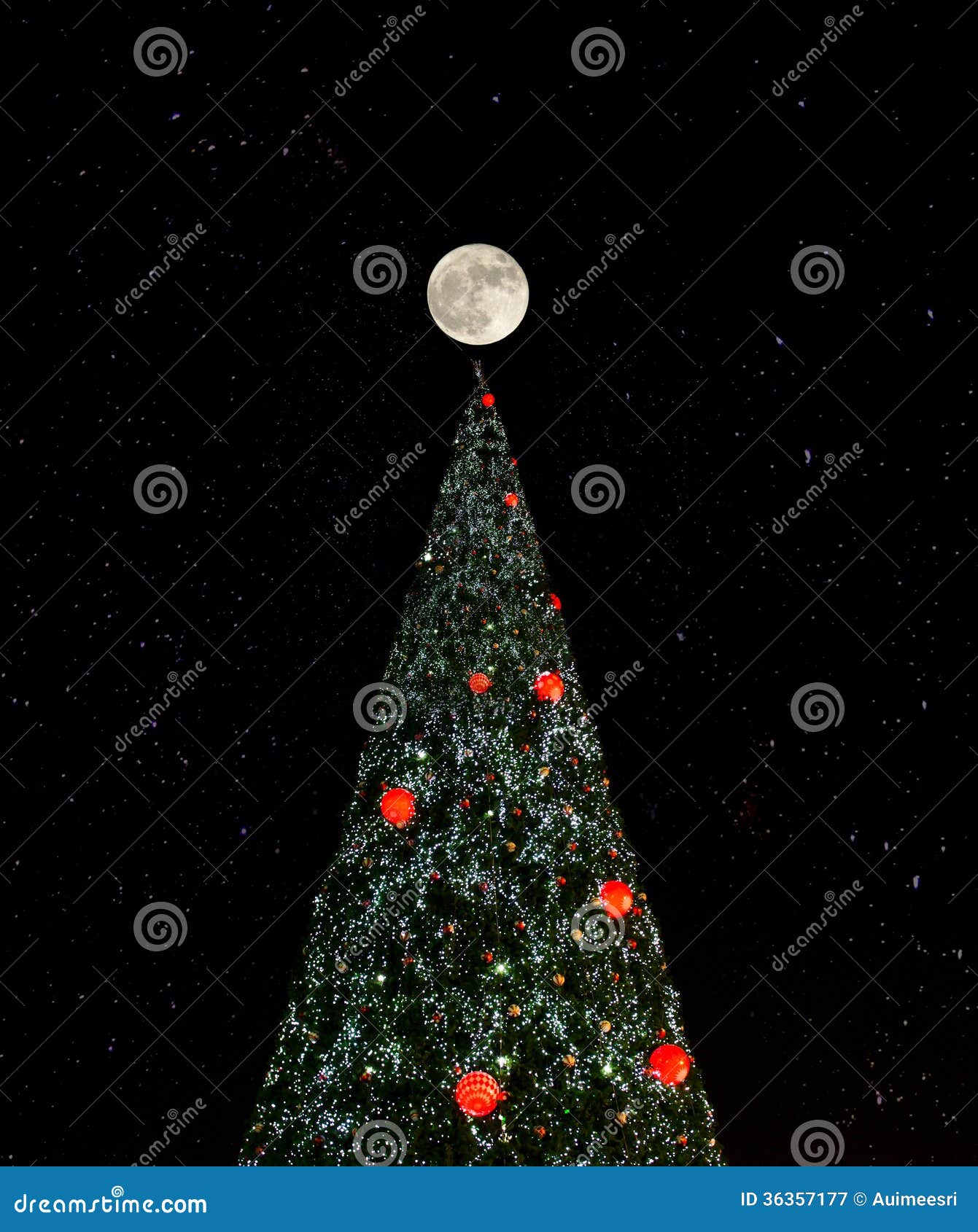 Christmas Tree in the Night Sky Stock Image - Image of tree, lights ...