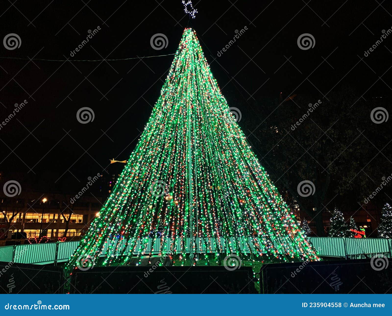 Christmas Tree at Night Time - Image Editorial Stock Photo - Image of ...