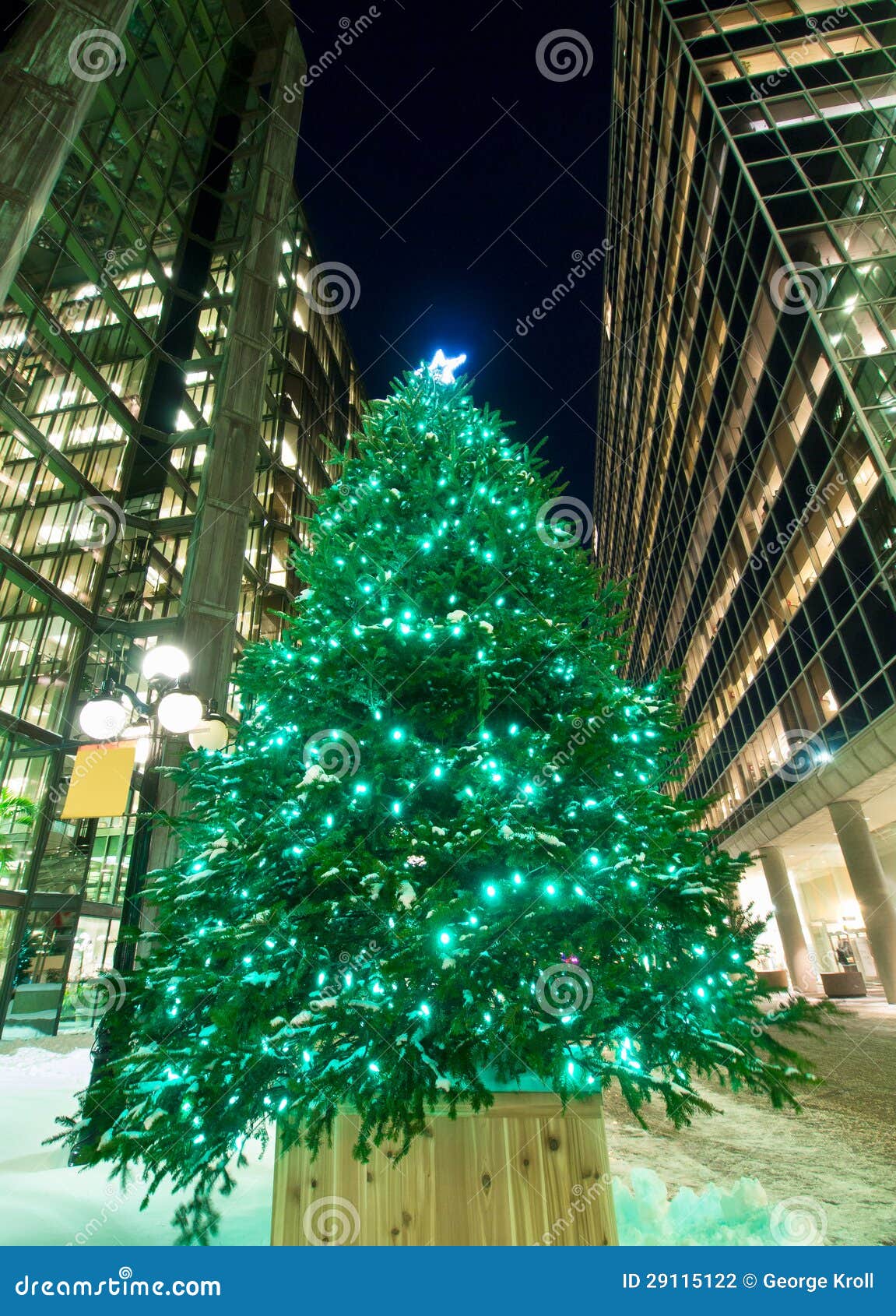 Christmas Tree Office Buildings Stock Photo - Image of city, building ...