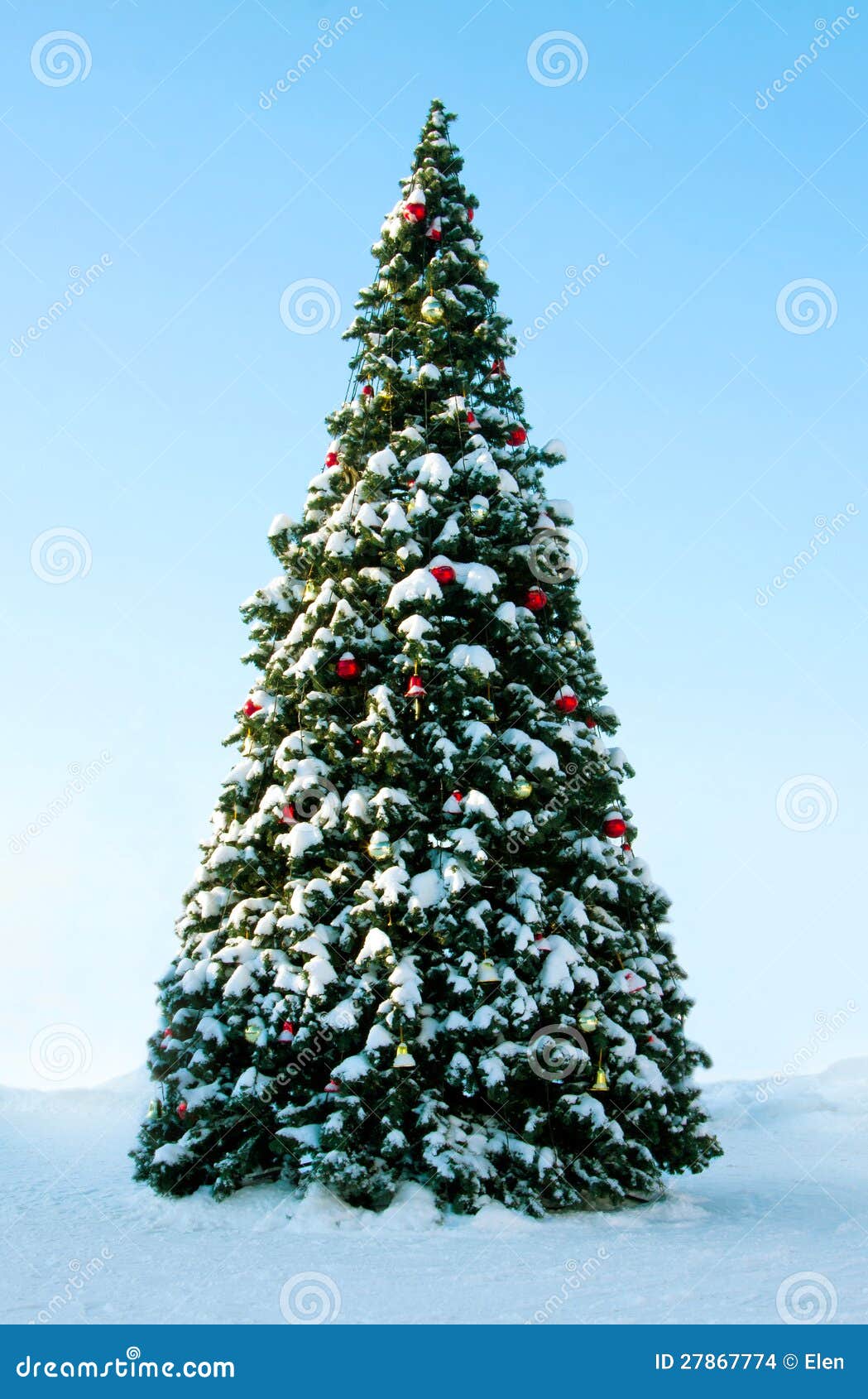 Christmas tree outdoor stock photo. Image of abstract - 27867774
