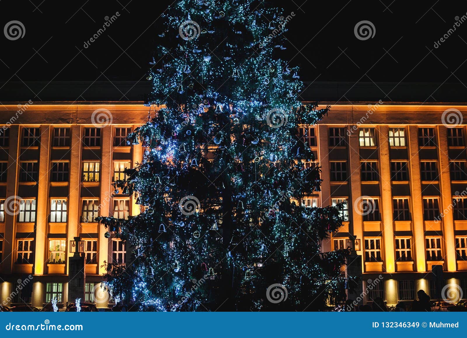 Christmas Tree Outdoors. Christmas Holidays Concept. Decorated ...