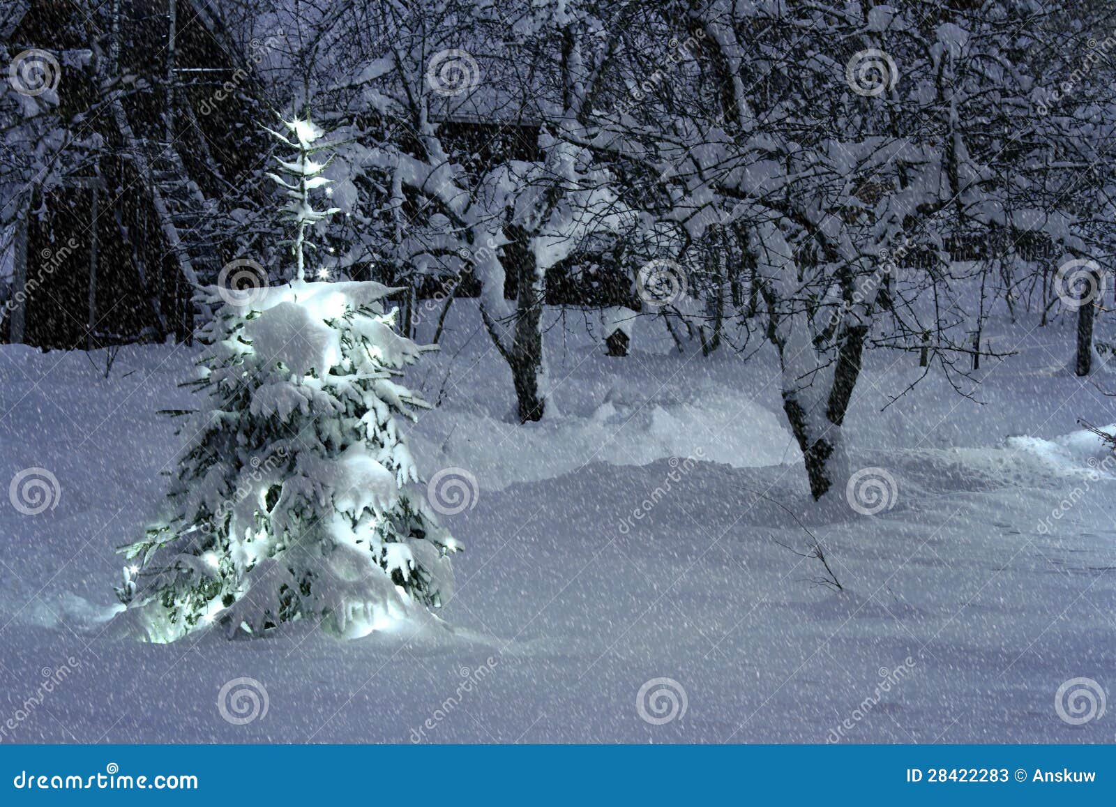 Christmas Tree Outside in Snowy Garden Stock Image - Image of snow ...